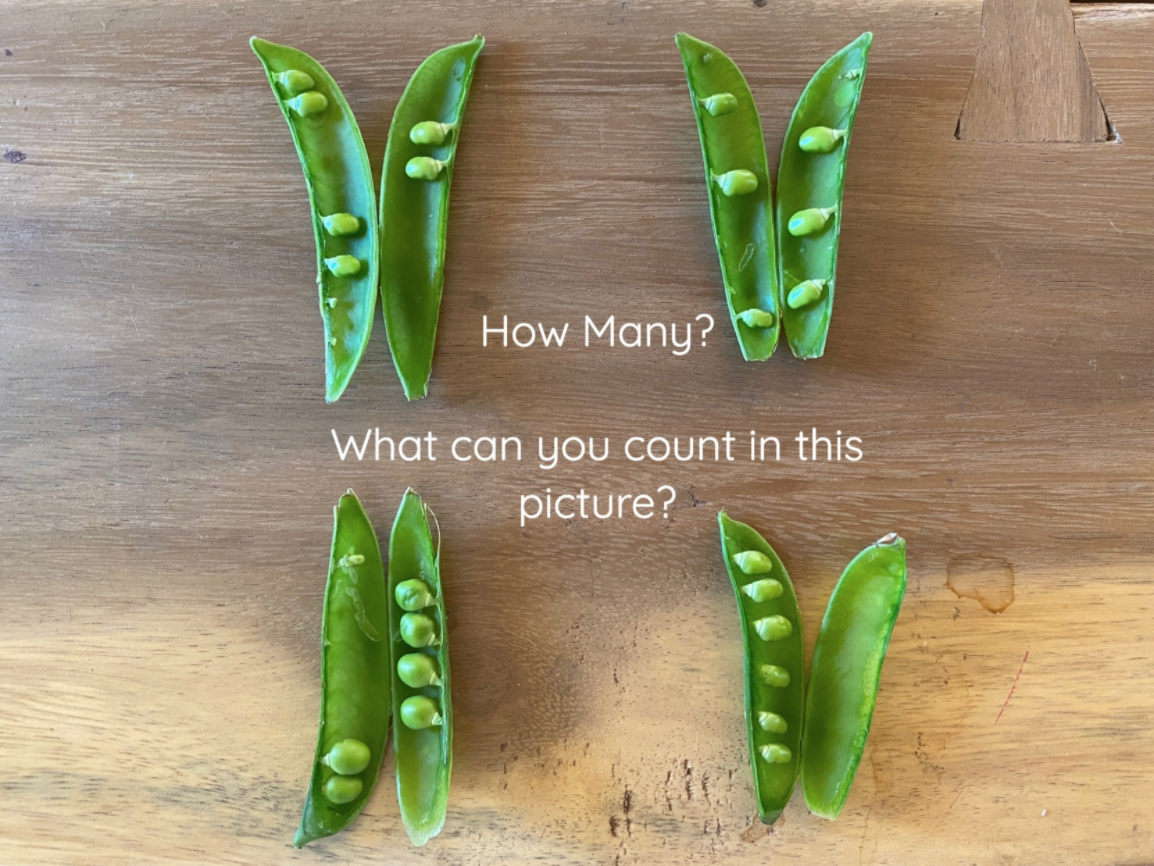 Math in the Age of Distance Learning – Part 1 – Thinking With Children